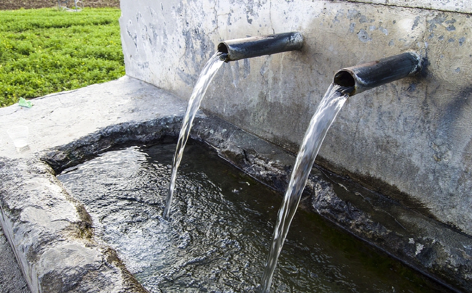 Pulmuone Sustainability