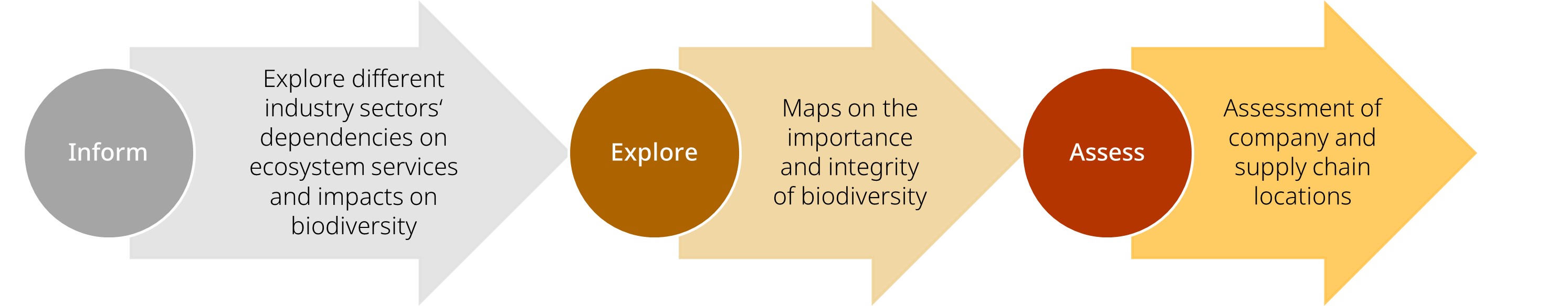 Biodiversity and Natural Capital Risk assessment